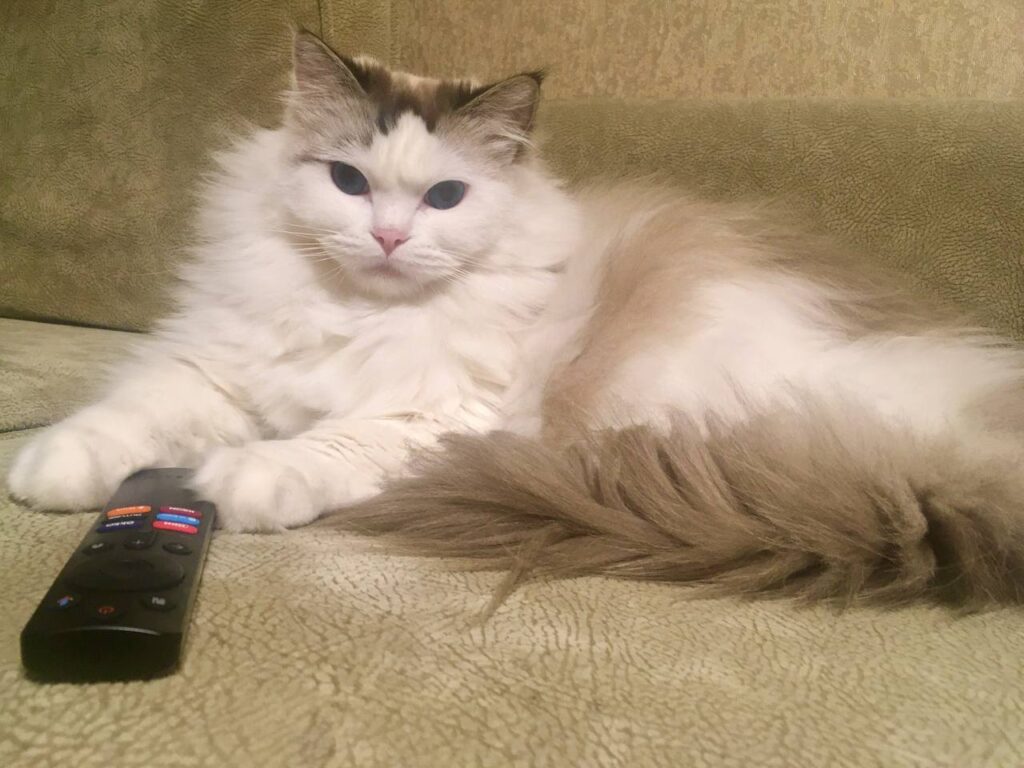 Стал известен топ-10 самых ожидаемых российских сериалов в этом году - SmolNarod.ru